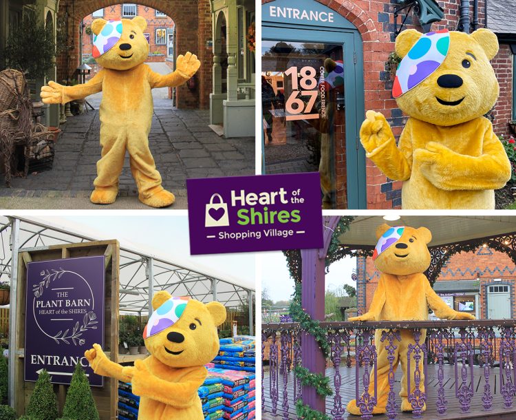 Pudsey at Heart of the Shires - The Heart of the Shires shopping village