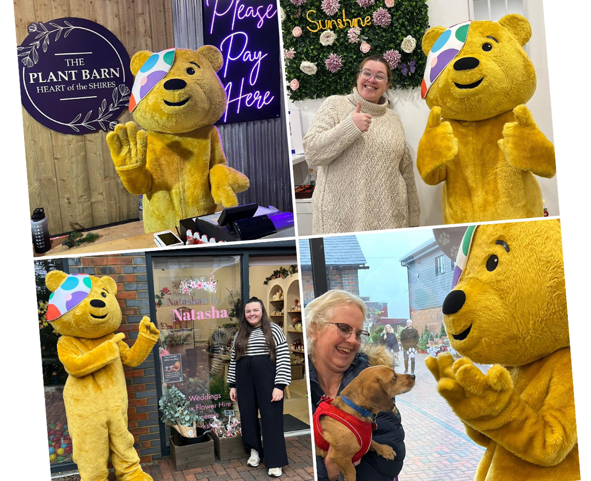 Pudsey at Heart of the Shires - The Heart of the Shires shopping village